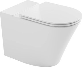 Bruckner Fein wc kombi mísa 61 x 36 cm rimless spodní zadní odpad bílá 201.424.4