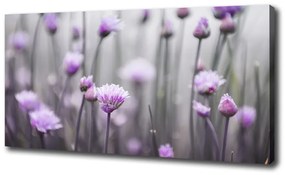 Wallmuralia Foto obraz na plátně Květiny pažitky 100x50