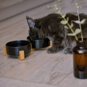Sada keramické misky a ochranného potahu do auta pro zvířata Jax černá