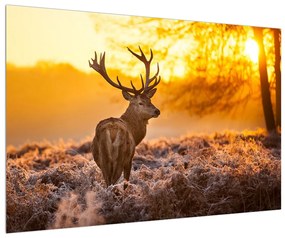 Obraz jelena (90x60 cm)