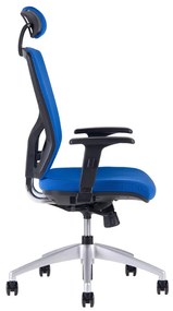 Kancelářská ergonomická židle Office Pro HALIA SP – s podhlavníkem, více barev Šedá 2625