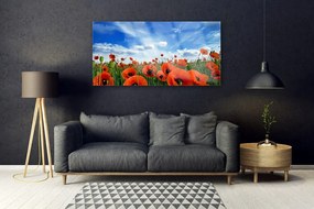 Plexisklo-obraz Louka Máky Květiny 120x60 cm