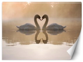 Gario Fototapeta Zamilované labutě Materiál: Vliesová, Rozměry: 200 x 140 cm