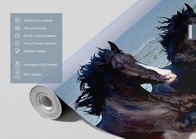 Fototapeta na zed' Cválající Koně | 360 x 254 cm | DFTS1336
