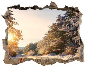 Wallmuralia Nálepka fototapeta 3D Cesta v lese zima 95x64 cm