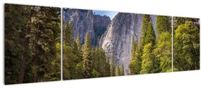 Obraz - Pod Yosemite skálou (170x50 cm)