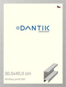 DANTIK rámeček 30x40 | ALU profil 6240 Stříbrná matná (Plexi Čiré)
