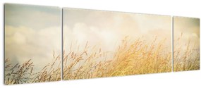 Obraz - Pole na podzim (170x50 cm)