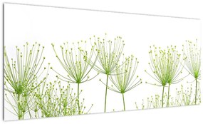 Obraz rostlin na bílém pozadí (100x40cm)