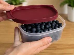 dóza na potraviny, s víkem, plast, 5x10x7,5 cm, průhledná/červená, Dekorino DP20260007