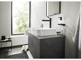 Hansgrohe AddStoris - Dvojitý háček, matná černá 41755670