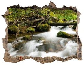 Wallmuralia Díra 3D ve zdi nálepka Potok Olczyski 95x64 cm