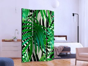 Pokojová zástěna Tropické listy - kompozice zelených listů palmy na šedém pozadí
