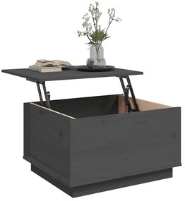 Konferenční stolek šedý 60x50x35 cm masivní borové dřevo