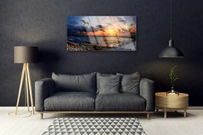 Obraz na skle Racek Moře Pláž Krajina 125x50 cm