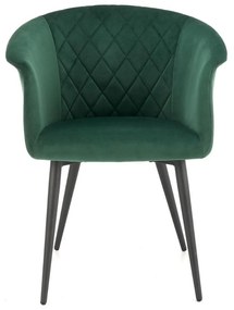 Jídelní židle Prescott, zelená / černá