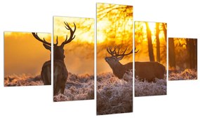 Obraz jelenů (125x70 cm)