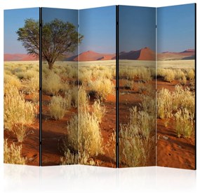 Paraván - Desert landscape, Namibia II [Room Dividers]
