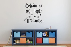 Lepy.cz Samolepka na zeď Harry Potter - Dopis z Bradavic Velikost (šířka x výška): l15x124cm, Barevná varianta: Ledová modrá