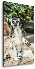 Wallmuralia Vertikální Foto obraz tištěný na plátně Lemur 50x100