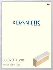 DANTIK rámeček 60x80 | KASSETTE bílá (Plexi Čiré)
