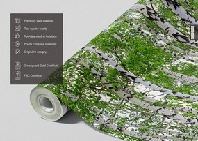 Fototapeta na zed' Břízová Alej | 360 x 254 cm | DFTS1304