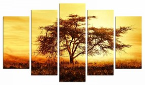 Vícedílný obraz Tree In The Golden Hour 110x60 cm
