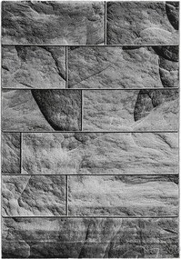 Breno Kusový koberec PARMA 9250 Black, 160x230 cm, Černá/Šedá