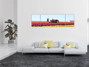 Obraz tulipánové farmy (170x50 cm)