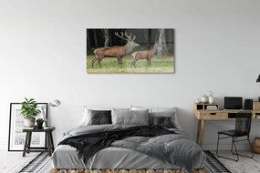 akrylový obraz jelen lesní 125x50 cm