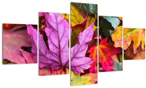 Obraz - podzimní listy (125x70 cm)