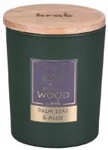 Nohelgarden Svíčka ve skle MAGIC WOOD PALM LEAF vonná 300g