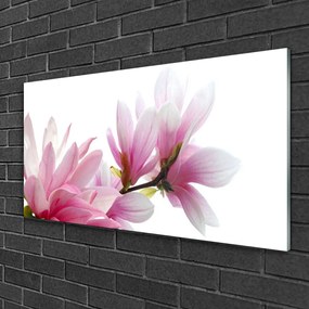 Obraz na skle Magnolie Květ 125x50 cm