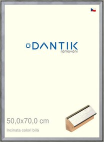 DANTIK rámeček 50x70 | INCLINATA colori Bílá (Plexi Čiré)