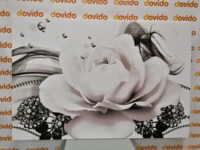 Obraz luxusní růže s abstrakcí v černobílém provedení - 60x40 cm