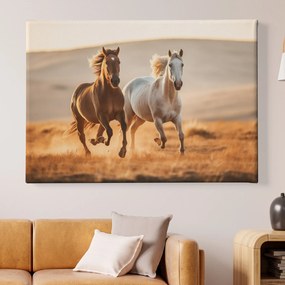 Obraz na plátně - Hnědý a černý kůň běžící planinou FeelHappy.cz Velikost obrazu: 90 x 60 cm
