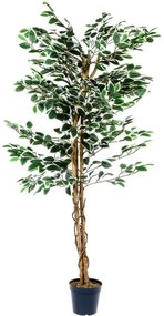 Umělá rostlina - fíkus 160cm