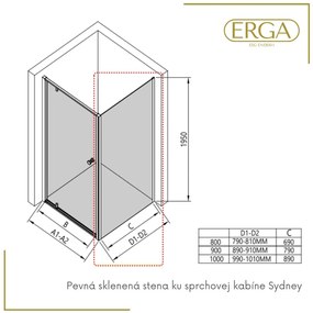 Erga Sydney, pevná stěna pro sprchový kout 100x195 cm, 6mm čiré sklo, černý profil, ERG-V02-SYDNEY-G100-BK
