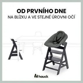 Hauck Alpha+ dřevěná židle+novorozenecký set polohovací, 0m+, Dark Gre