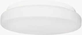Stmívatelné stropní LED svítidlo Ocean I