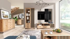 Casarredo - Komfort nábytek Televizní stolek BARBUS 1D1S na nohách, dub artisan/černá