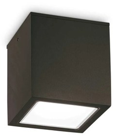 Ideal Lux Stropní přisazené svítidlo TECHO PL1 SMALL, IP54 Barva: Černá