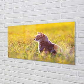 akrylový obraz lov cat 125x50 cm