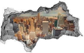 Wallmuralia Nálepka fototapeta 3D New York z ptačího pohledu 95x73 cm