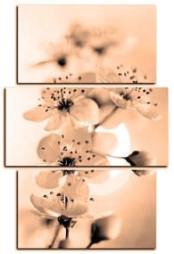 Obraz na plátně - Malé květy na větvi - obdélník 7173FC (105x70 cm)