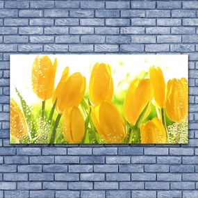 akrylový obraz Tulipány Květiny Rostlina 120x60 cm