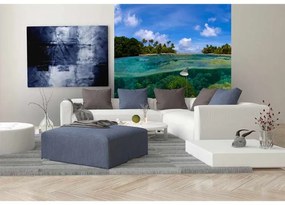 DIMEX | Vliesová fototapeta na zeď Korálový útes MS-3-0200 | 225 x 250 cm | modrá, tyrkysová, zelená
