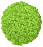 Mechová koule | sobí mech Barva lišejníku: světle zelená, Průměr: ø 23 cm