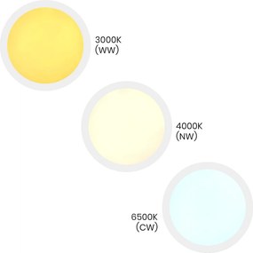 Stropní LED svítidlo Maq, 1x LED 18w, 3000-6500k, w
