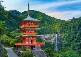 Castorland 53773 Chrám Seiganto-ji, Japonsko / 500 dílků / od 9 let
